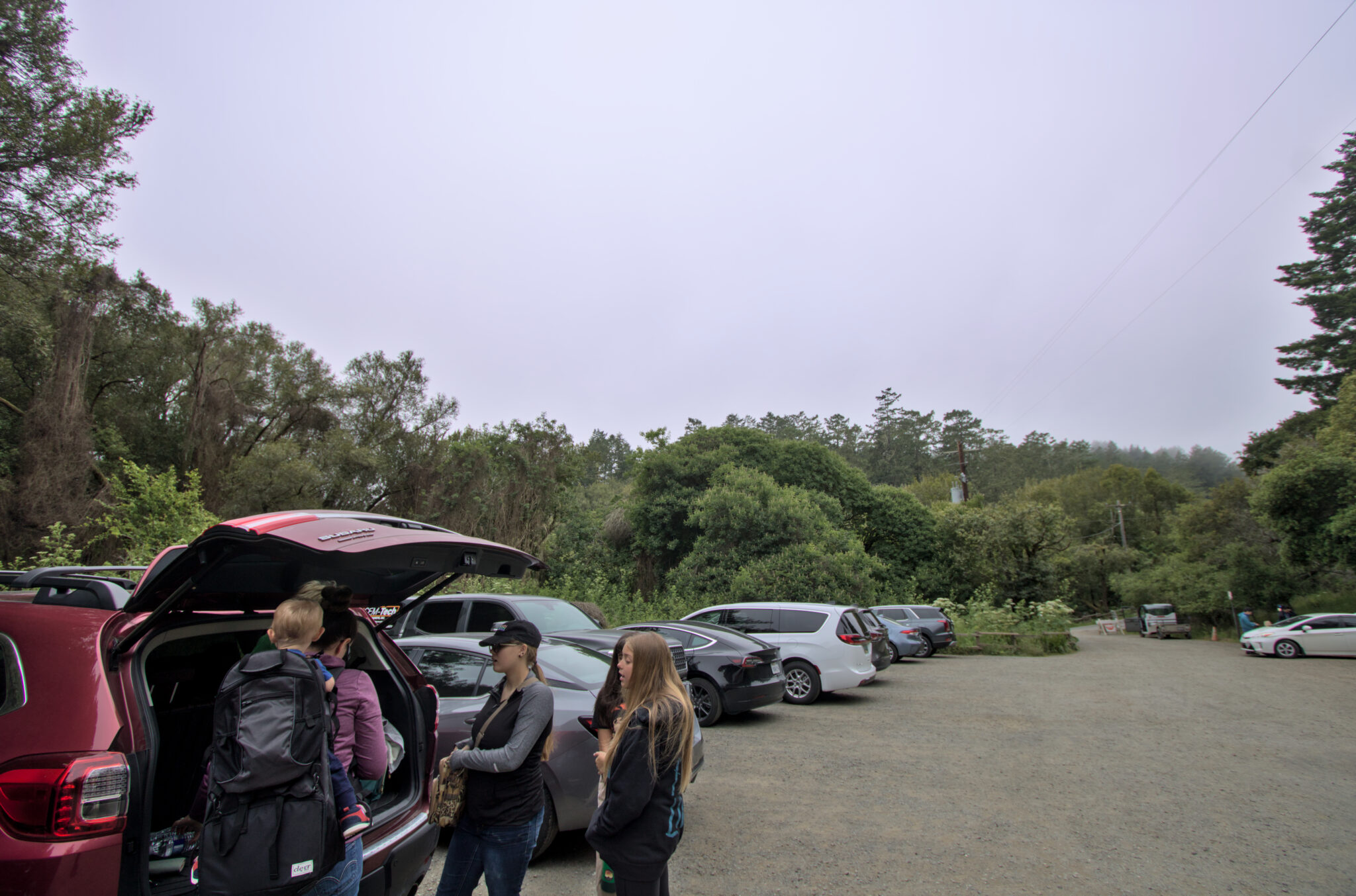 4 Great Reasons to Visit Muir Woods with Kids plus Tips to Plan Your ...