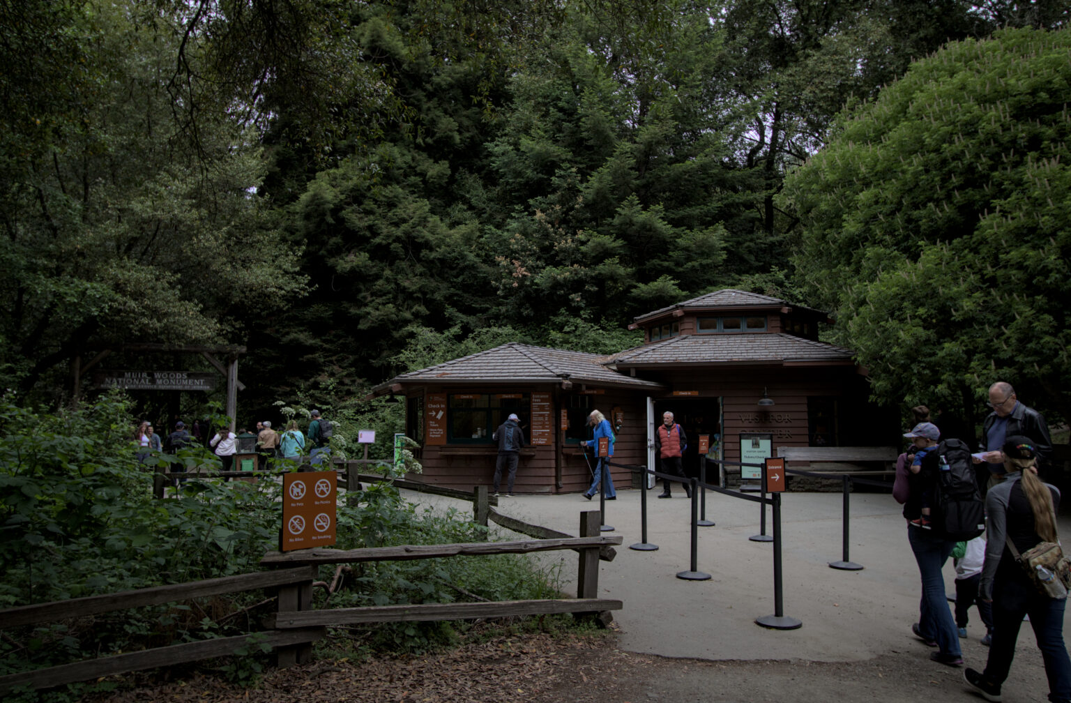 4 Great Reasons to Visit Muir Woods with Kids plus Tips to Plan Your ...